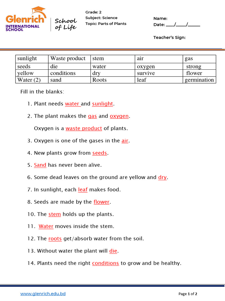 Plant Basics for Grade 2 Students | PDF | Home & Garden | Science ...