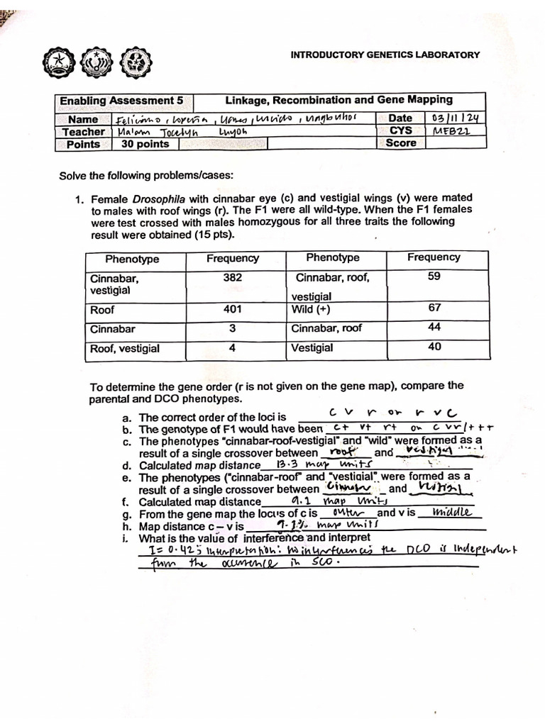 Gene Mapping, Linkage, Recombination GR3 | PDF