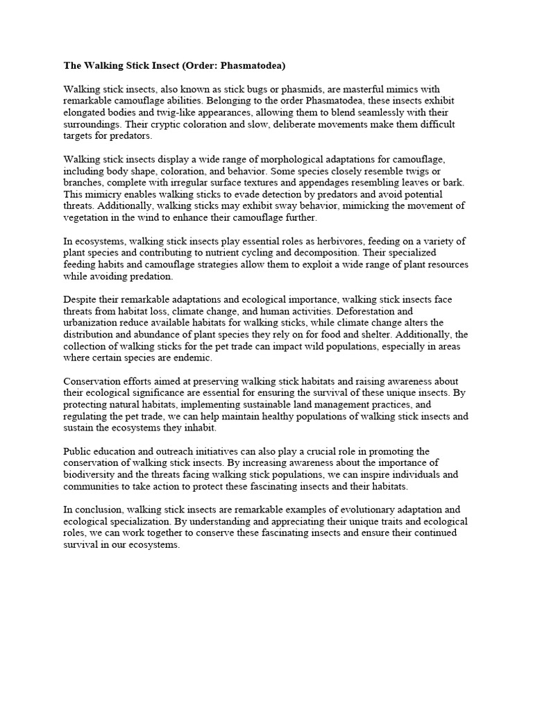 The Walking Stick Insect | PDF | Insects | Camouflage