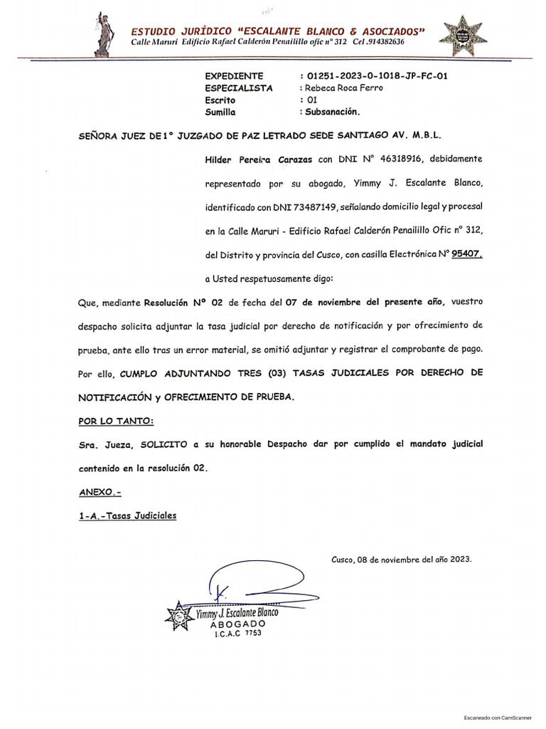 Subsanacion de tasas judiciales | PDF