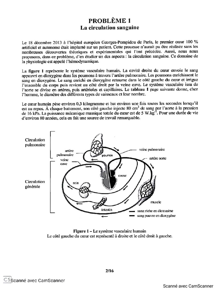 pb corrig fluid sang | PDF