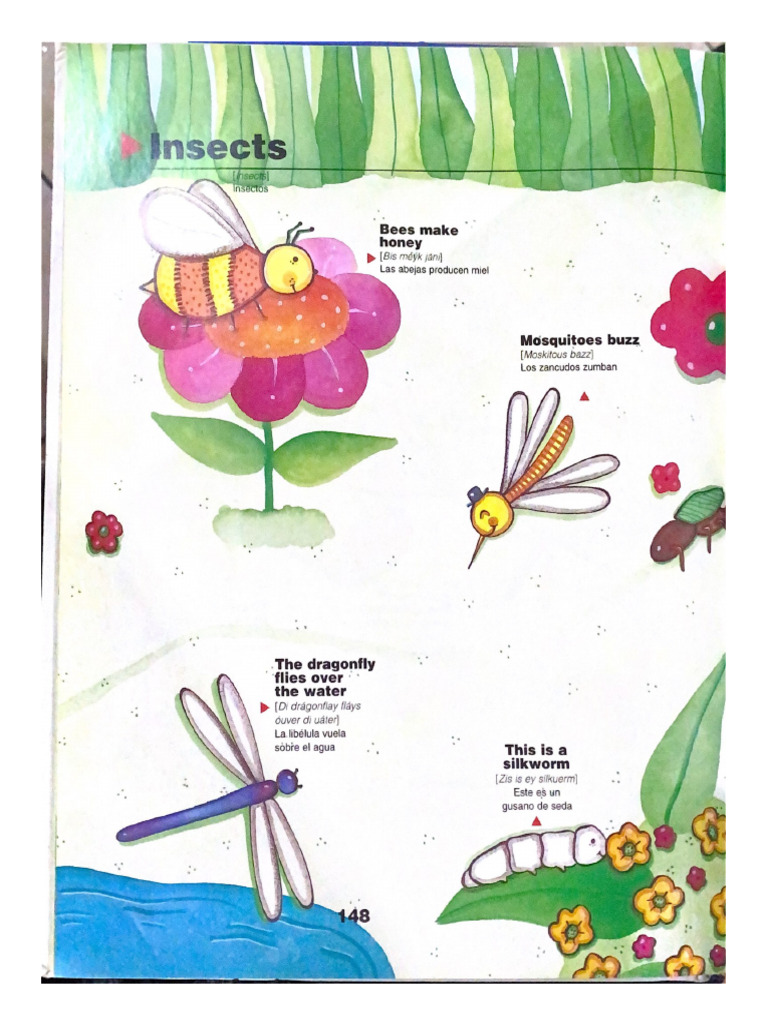 Insects | PDF