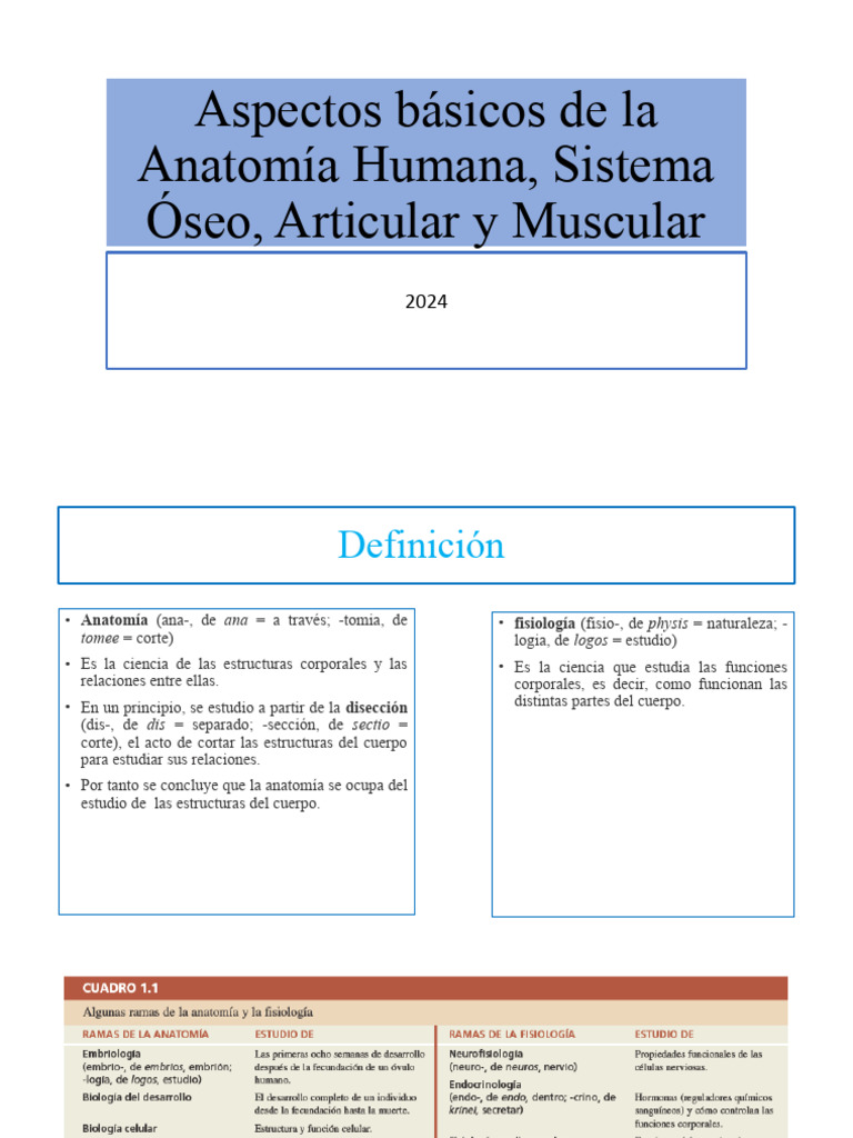 Aspectos básicos de la Anatomía Humana, Sistema | PDF | Tórax ...