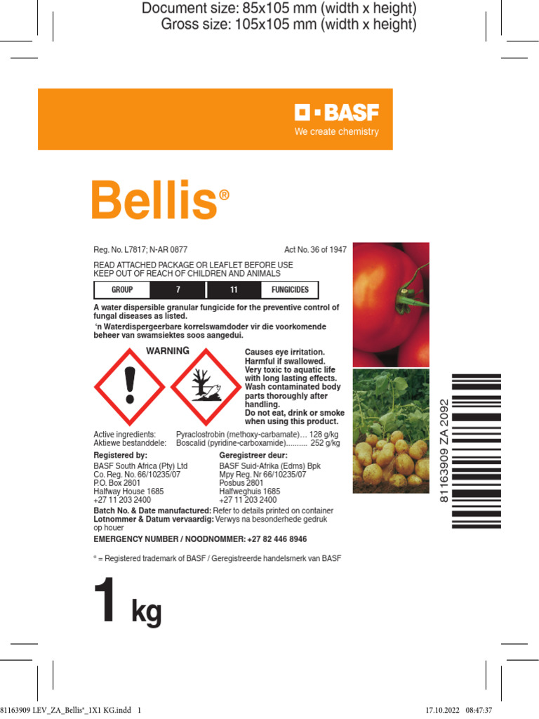 Bellis ENG | Download Free PDF | Capsicum | Berry