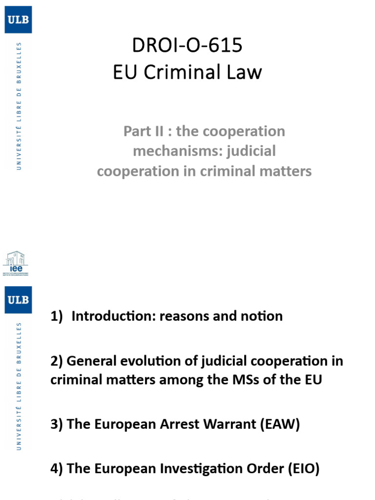 Lecture 5 - 23 Oct. | PDF | European Union | Criminal Justice