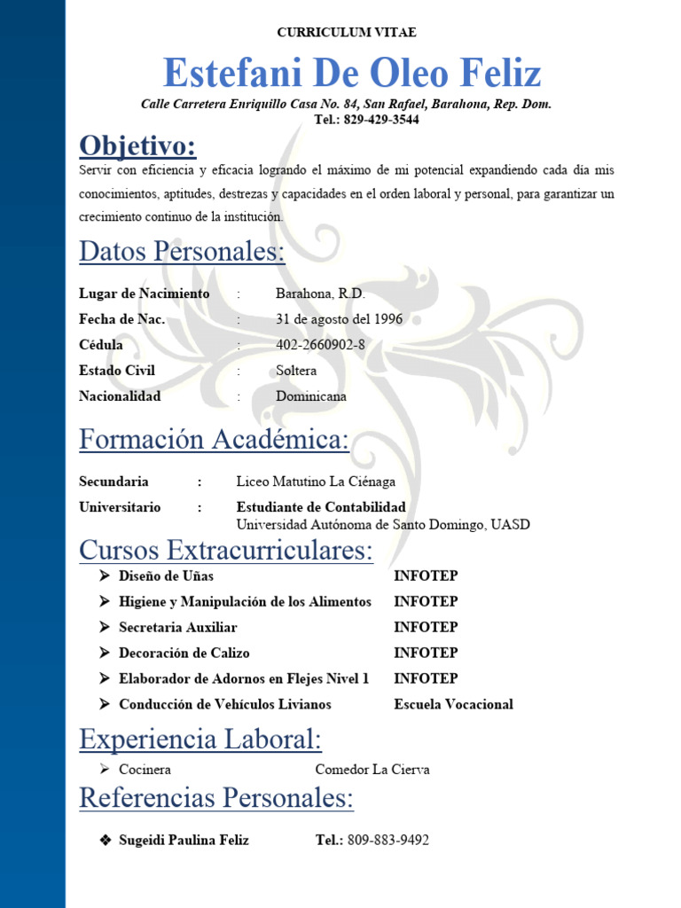 001-Boceto de Curriculum | PDF