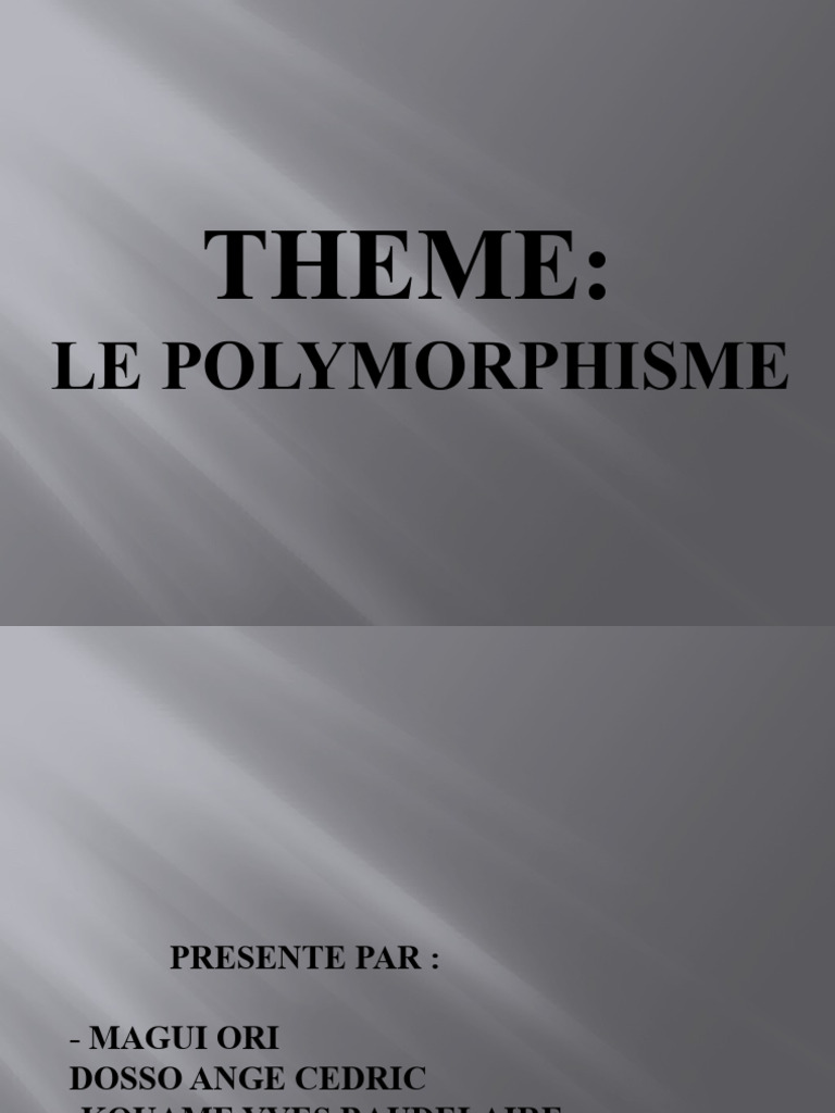 THEME | PDF | Classe (informatique) | Programmation orientée objet