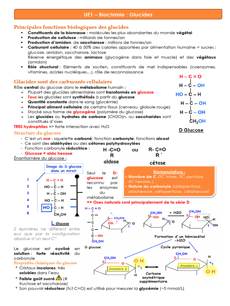 Fonctions biologiques des glucides | PDF | Glucose | Glucide