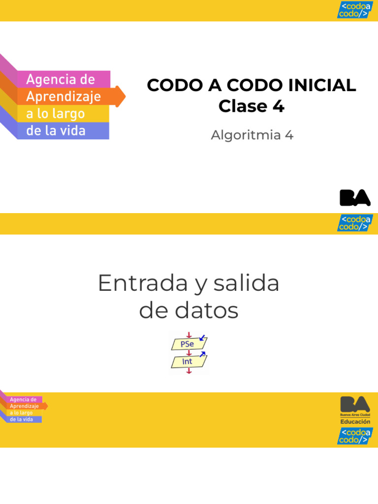 Clase 04 - Algoritmia 4 - Entrada y Salida de Datos | PDF | Algoritmos | Programa de computadora