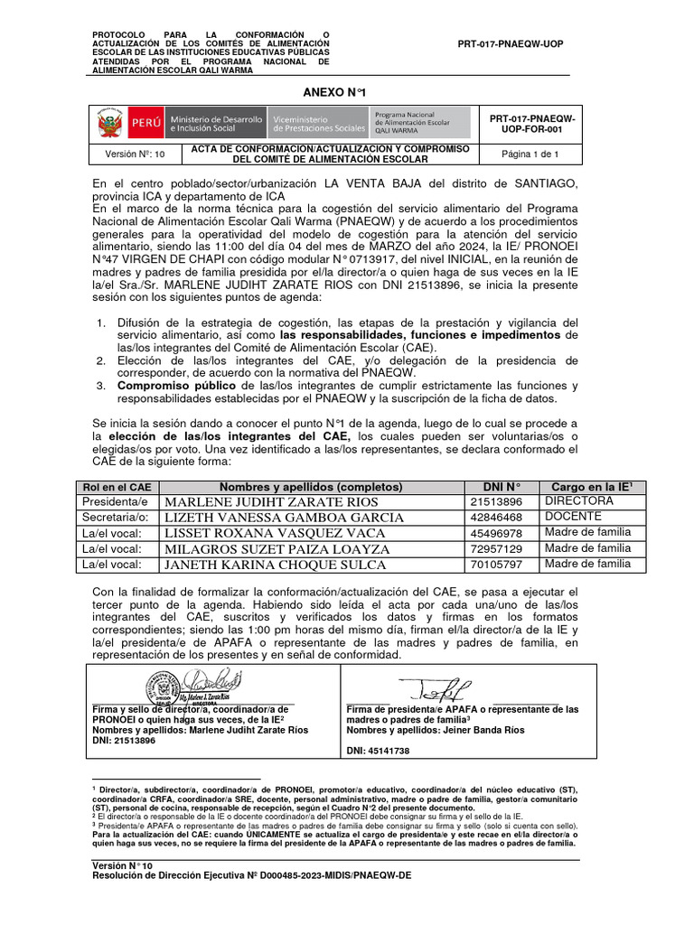 actualizacion del cae 2024 | PDF