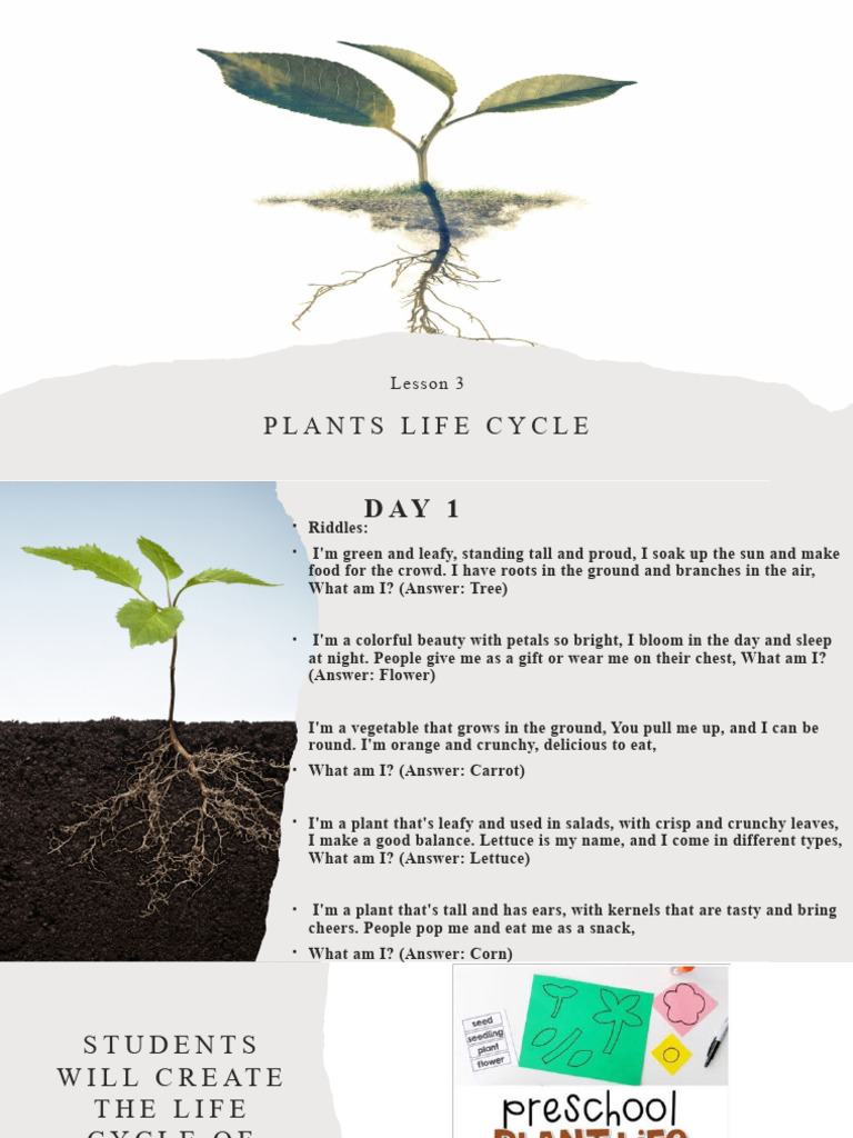 Life Science Lesson 4 Week 6 | PDF | Plants | Botany