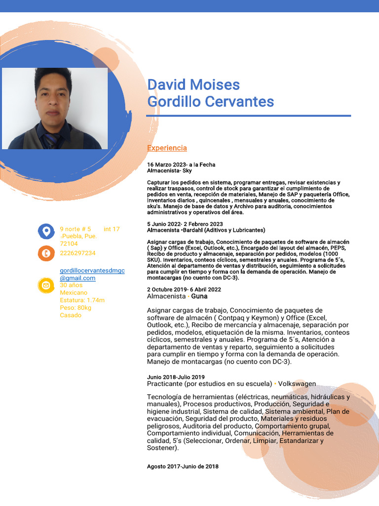 Currículum David Moises 2024 | PDF