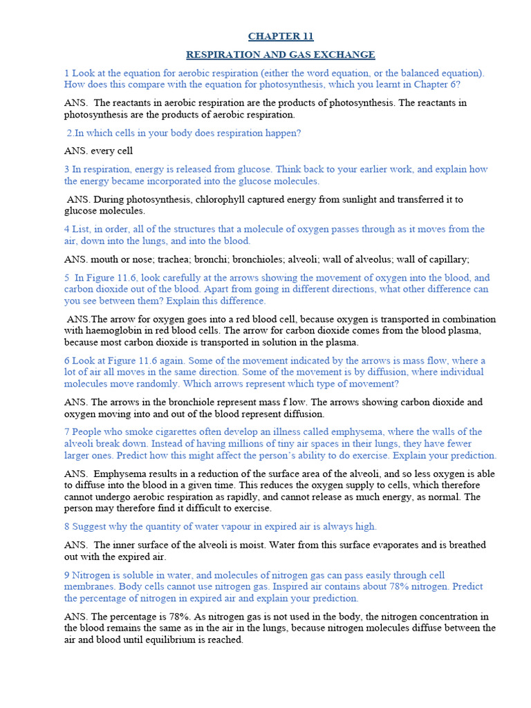 Chapter 11 Respiration and Gas Exchange | PDF | Respiratory System ...