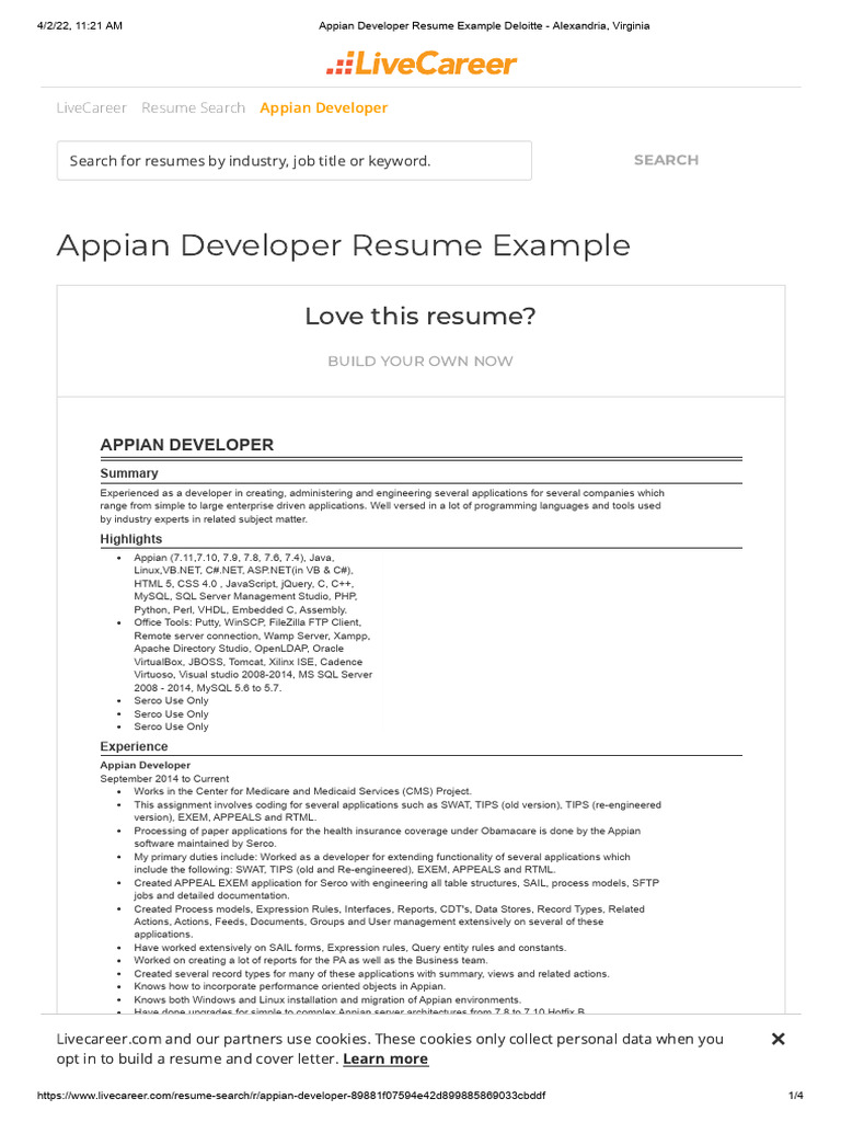 Appian Developer Resume Example Deloitte - Alexandria, Virginia | PDF ...
