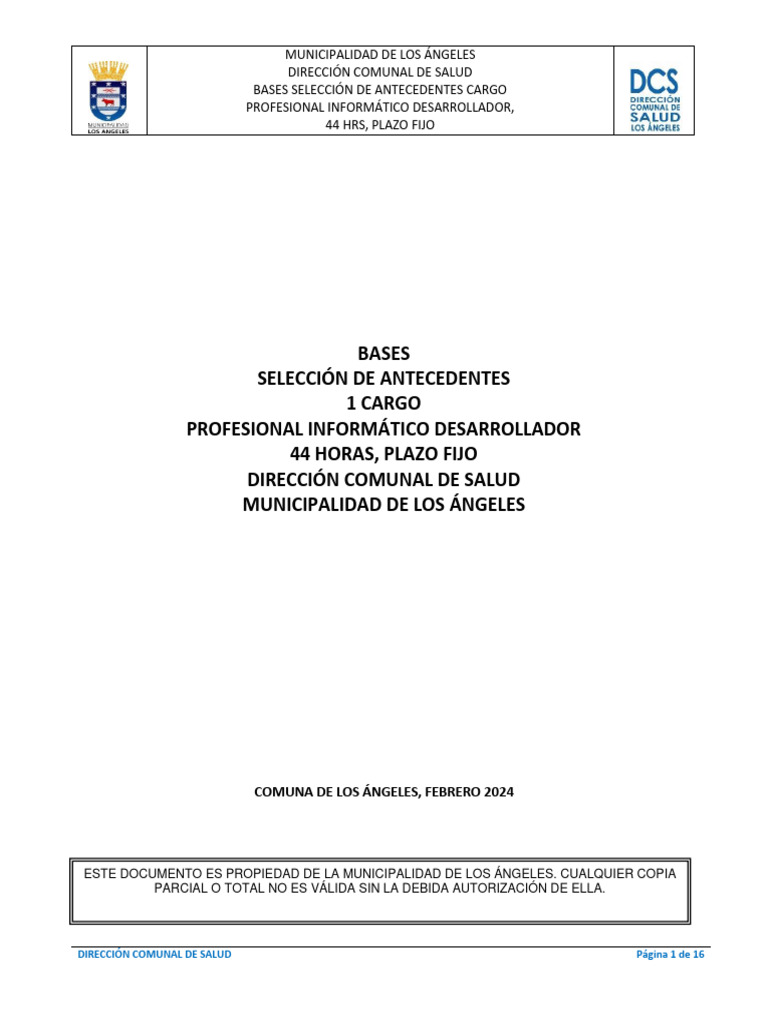 Bases Profesional Informatico Desarrollador 2024 | PDF | Documento de identidad | Informática