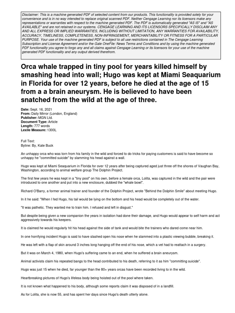 Orca Whale Trapped in Tiny Poo | PDF | Zoology