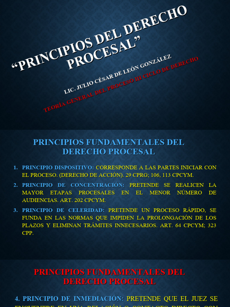 PRINCIPIOS DEL DERECHO PROCESAL | PDF | Ley procesal | Debido al proceso