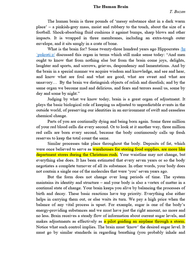 The Human Brain | PDF | Brain | Matter