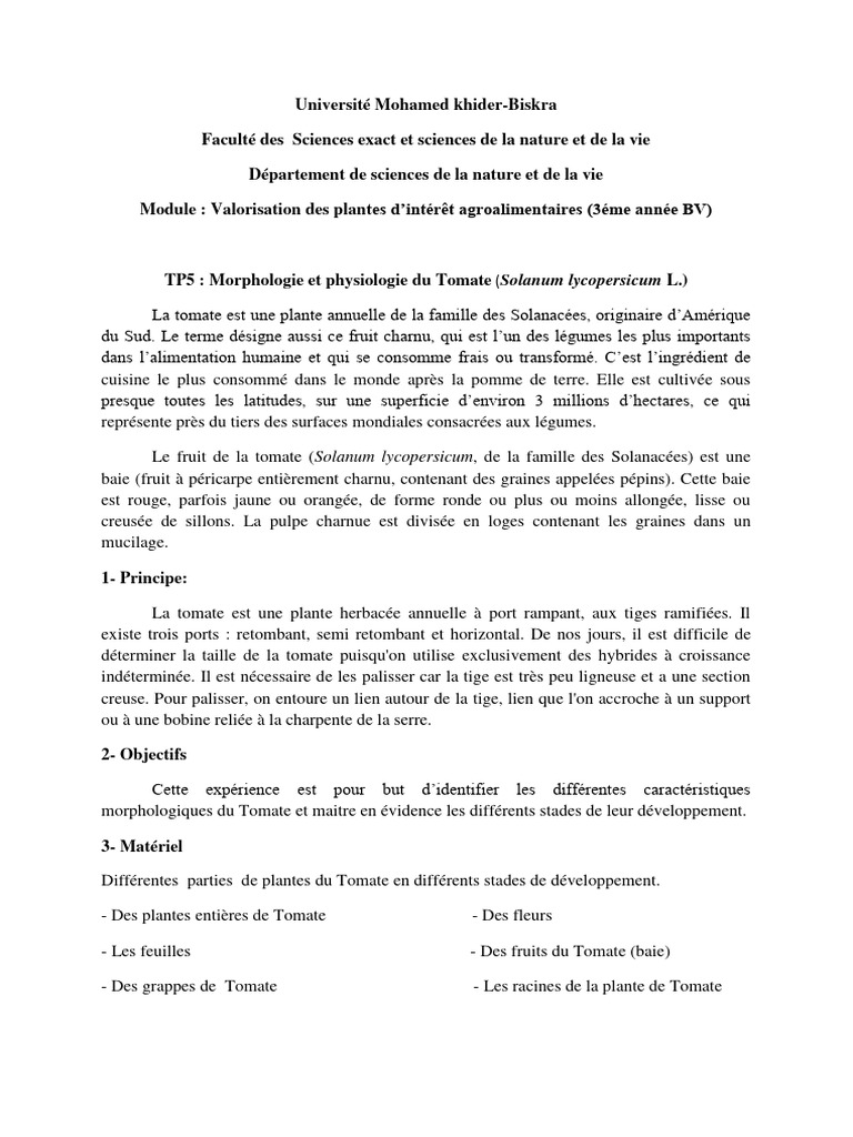 TP07 | PDF | Tomate | Morphologie végétale
