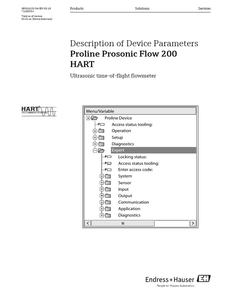 Proline Prosonic Flow 200 Guide | PDF | Parameter (Computer Programming ...