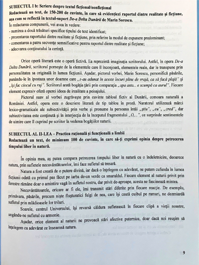 Compuneri Sugestive | PDF