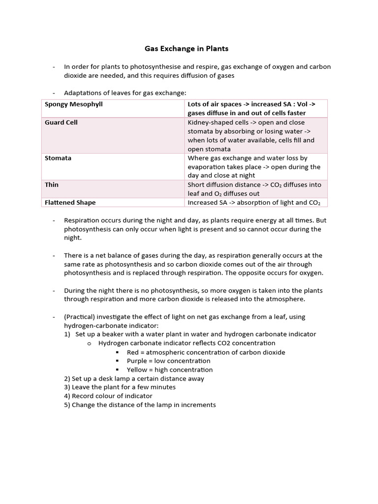 Gas Exchange in Plants | PDF | Photosynthesis | Stoma