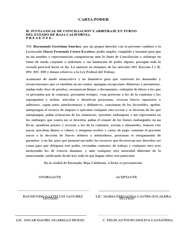 Carta Poder | PDF | Justicia | Crimen y violencia