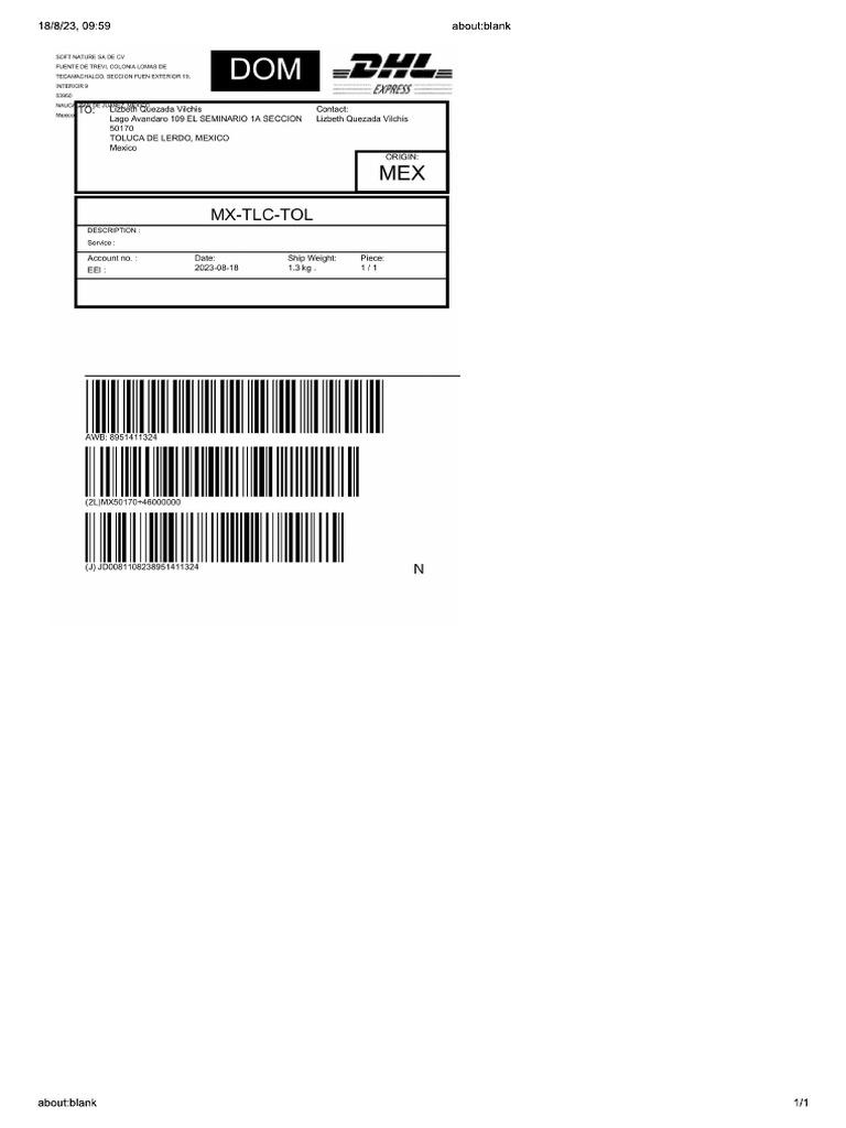 Etiqueta de Envío DHL | PDF