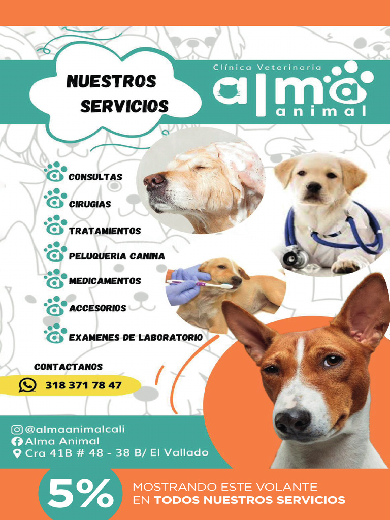 Volante Alma Animal | PDF