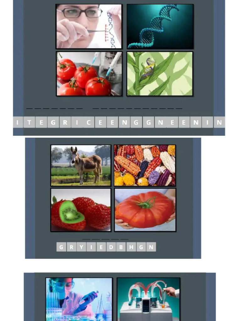 GB2 Lesson 1 and 2 | PDF | Genetically Modified Organism | Plasmid