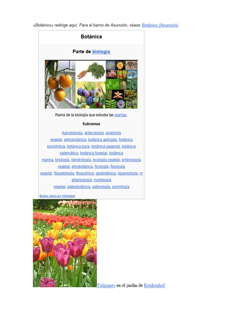 Botánico | PDF | Botánica | Plantas