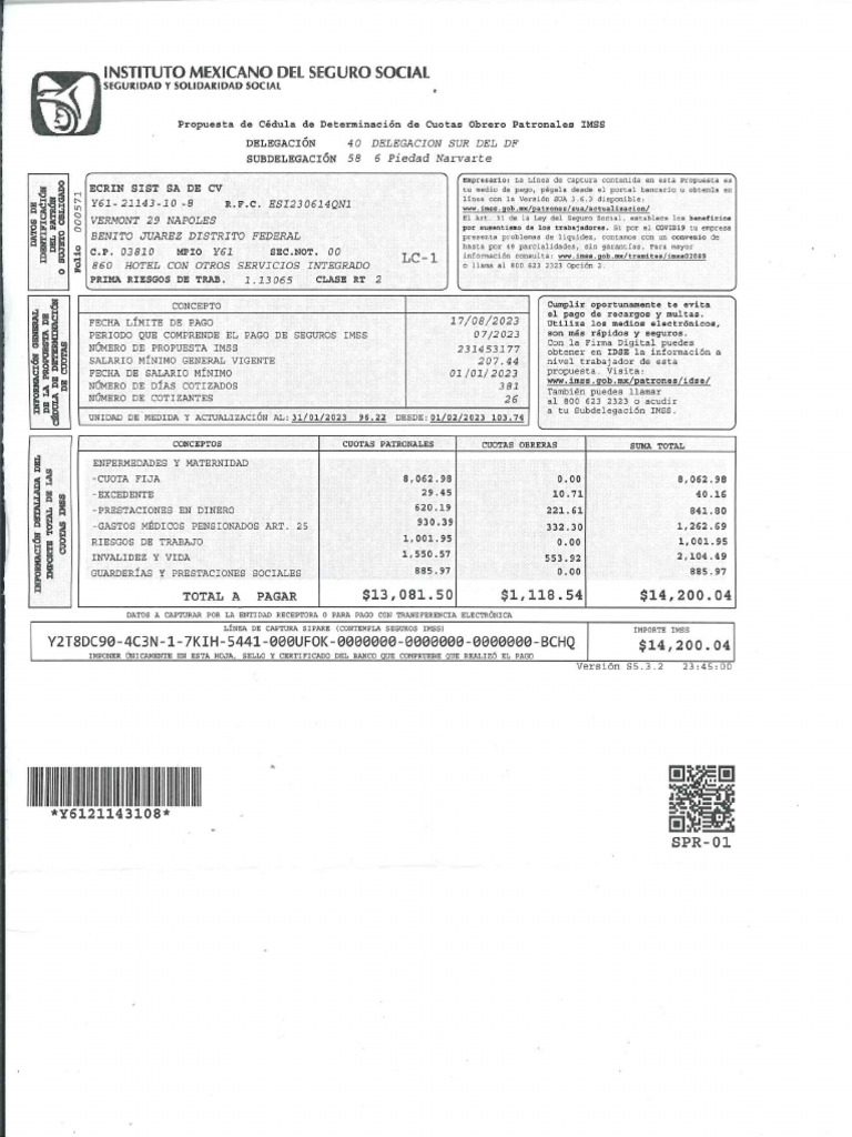 Cedula de IMSS (1) | PDF