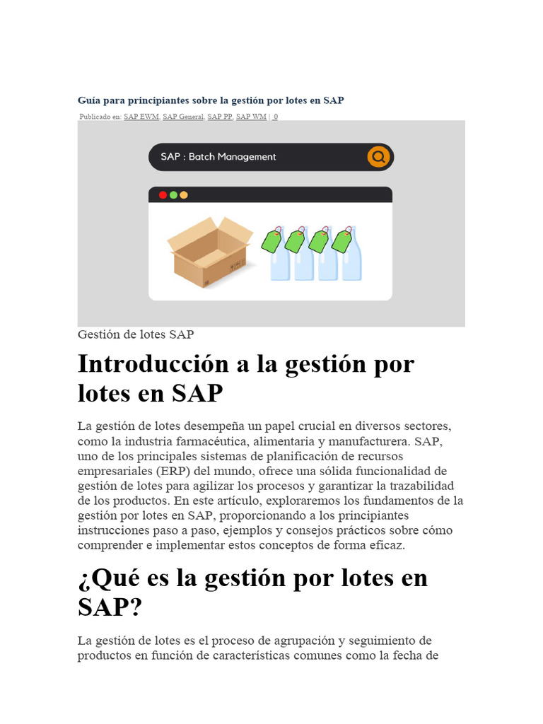 Guía básica de gestión de lotes en SAP | PDF | Planificación de ...