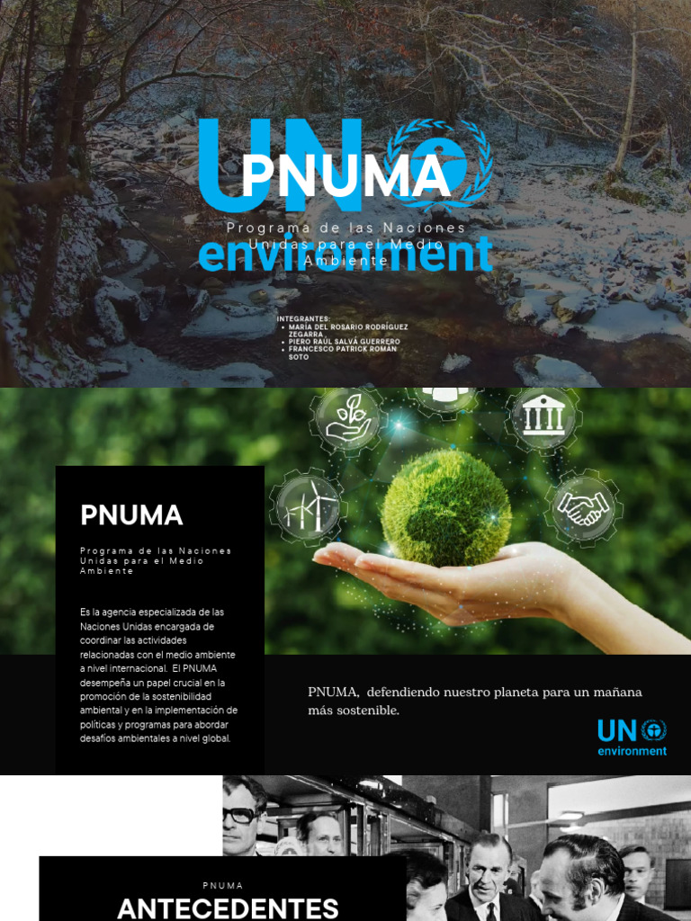 PNUMA: Sostenibilidad y Desafíos Globales | PDF | Programa del Medio ...