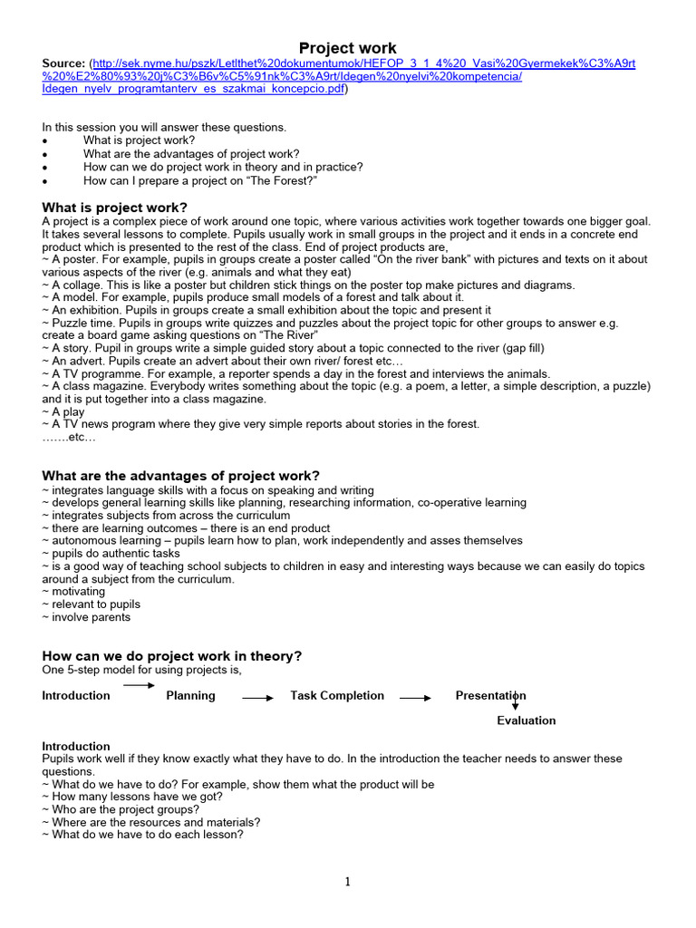 Project Work | Download Free PDF | Harry Potter | Curriculum