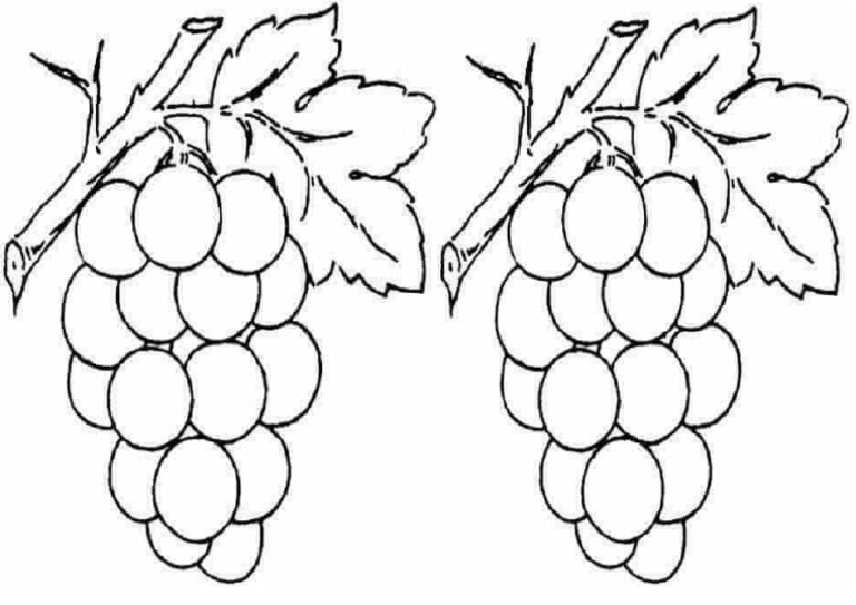 Strugure | PDF