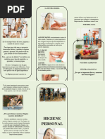 HDS Pinol | PDF | Agua | Toxicidad