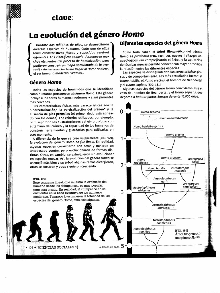 TP 7. Evolucion Del Homo | PDF