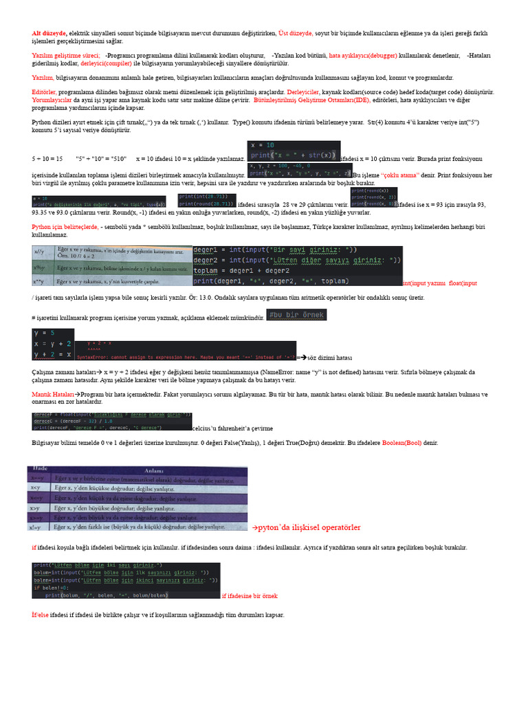 Bilgisayar Yazılısı | PDF