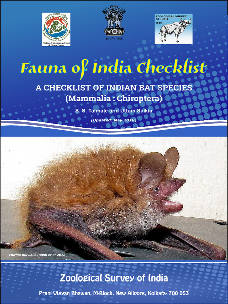 Checklist of Indian Chiroptera | PDF | Bat | Mammal Orders