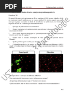 TP Bactériologie Galerie API | PDF | Microbiologie | Bactérie