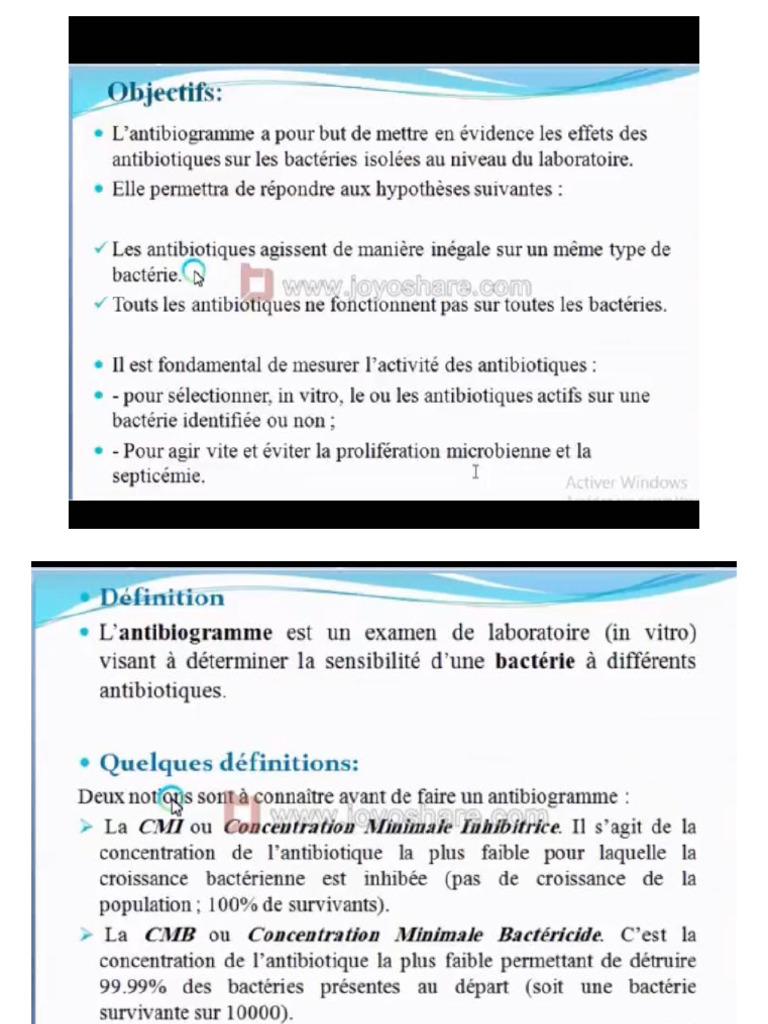 TP 3 Bacterio - Antibiogramme | PDF