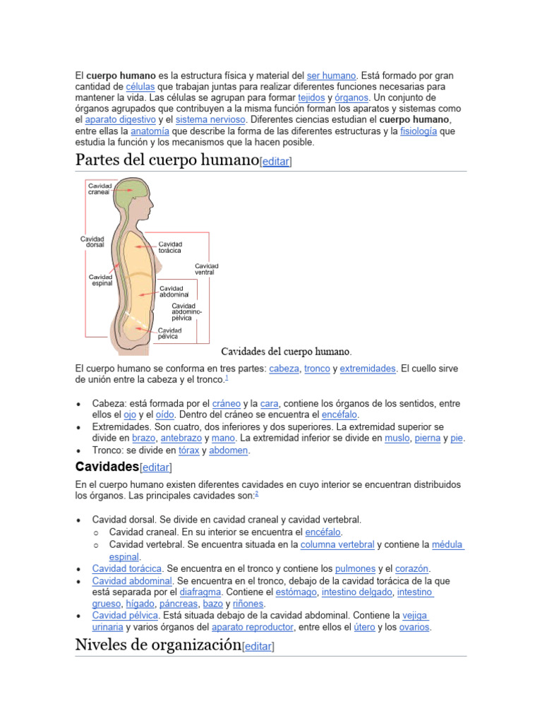Estructura y Cavidades del Cuerpo Humano | PDF | Cuerpo humano | Anatomía
