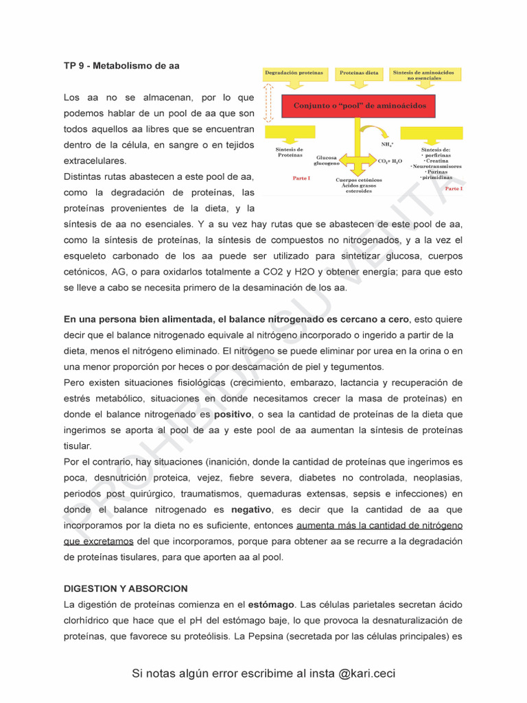TP 9 - Metabolismo de Aa | PDF
