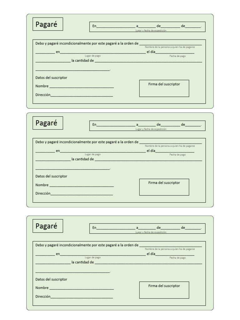 Formato de Pagare Con Aval | PDF