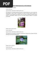 Informe 100 Plantas Medicinales Selva Peruana | PDF