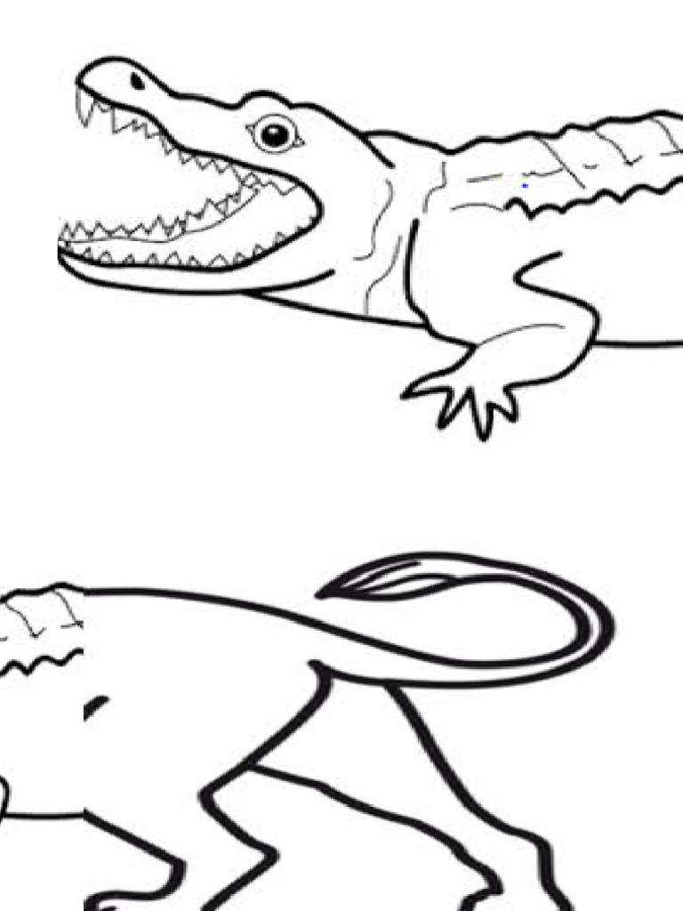 Animales Moustros Fichas Aun Mas Grandes | PDF