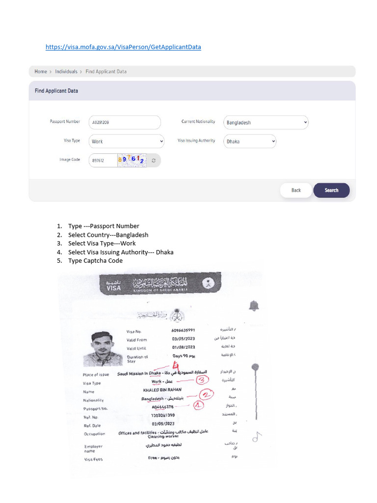 Saudi Visa Check | PDF
