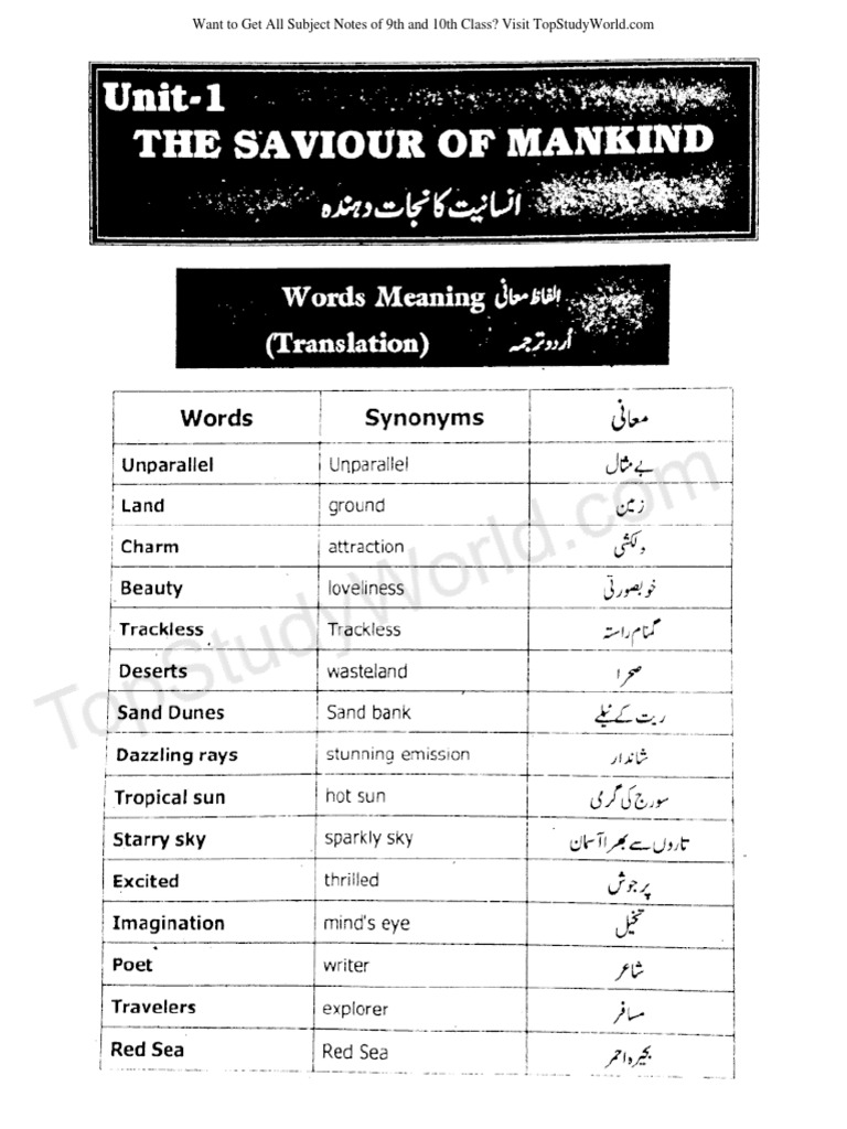 9th Class English Notes Full | PDF