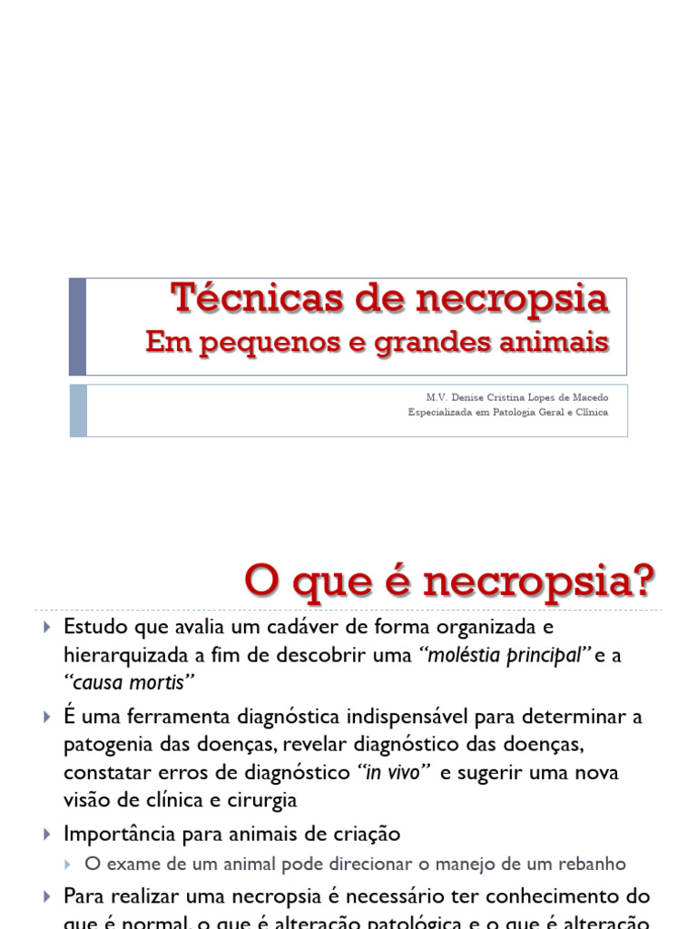 Técnicas de Necropsia em Animais | PDF | Autópsia | Pélvis